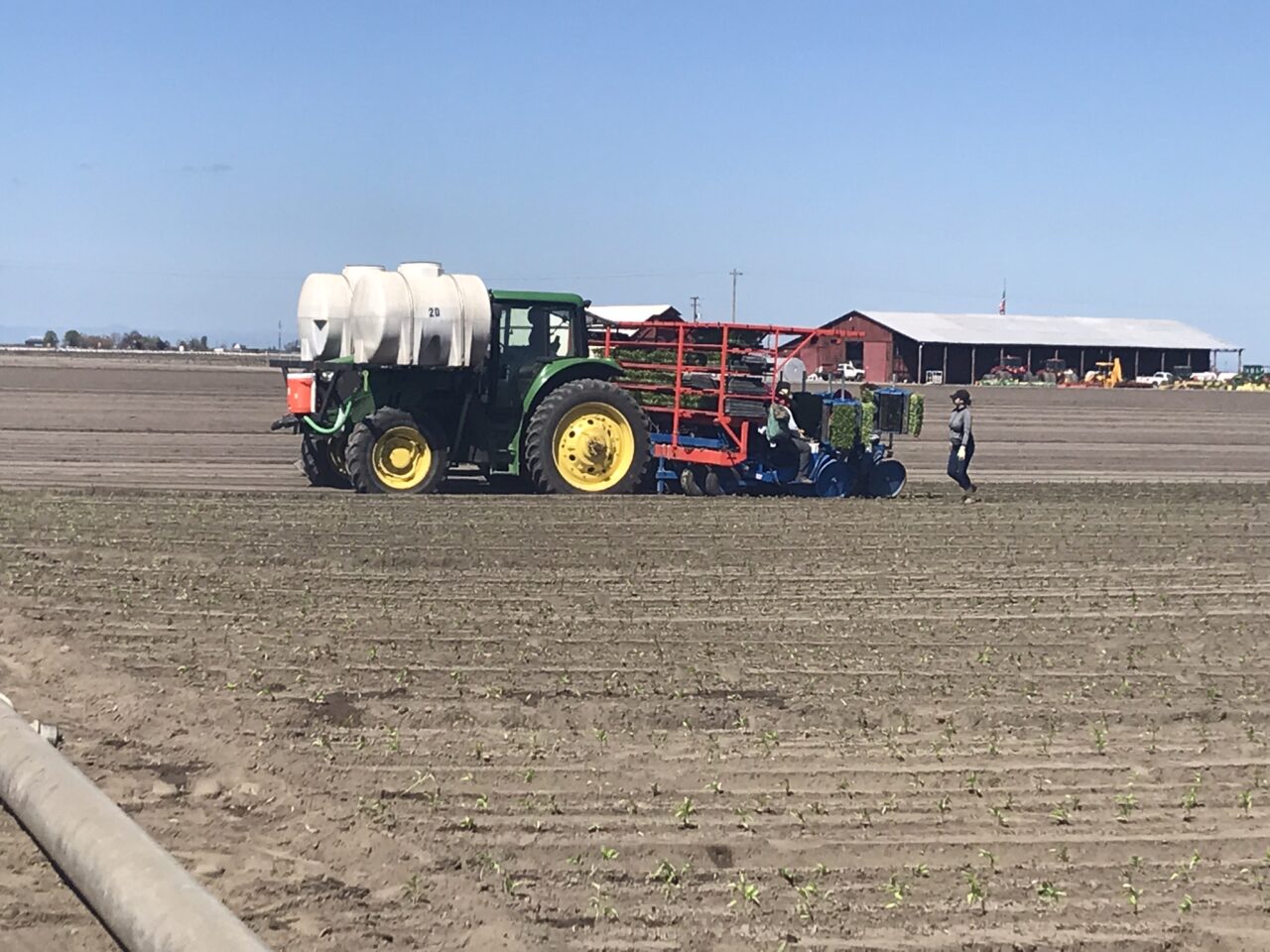 TRUE 1-7-0 Liquid Starter Fertilizer on Organic Crops - True Organic ...